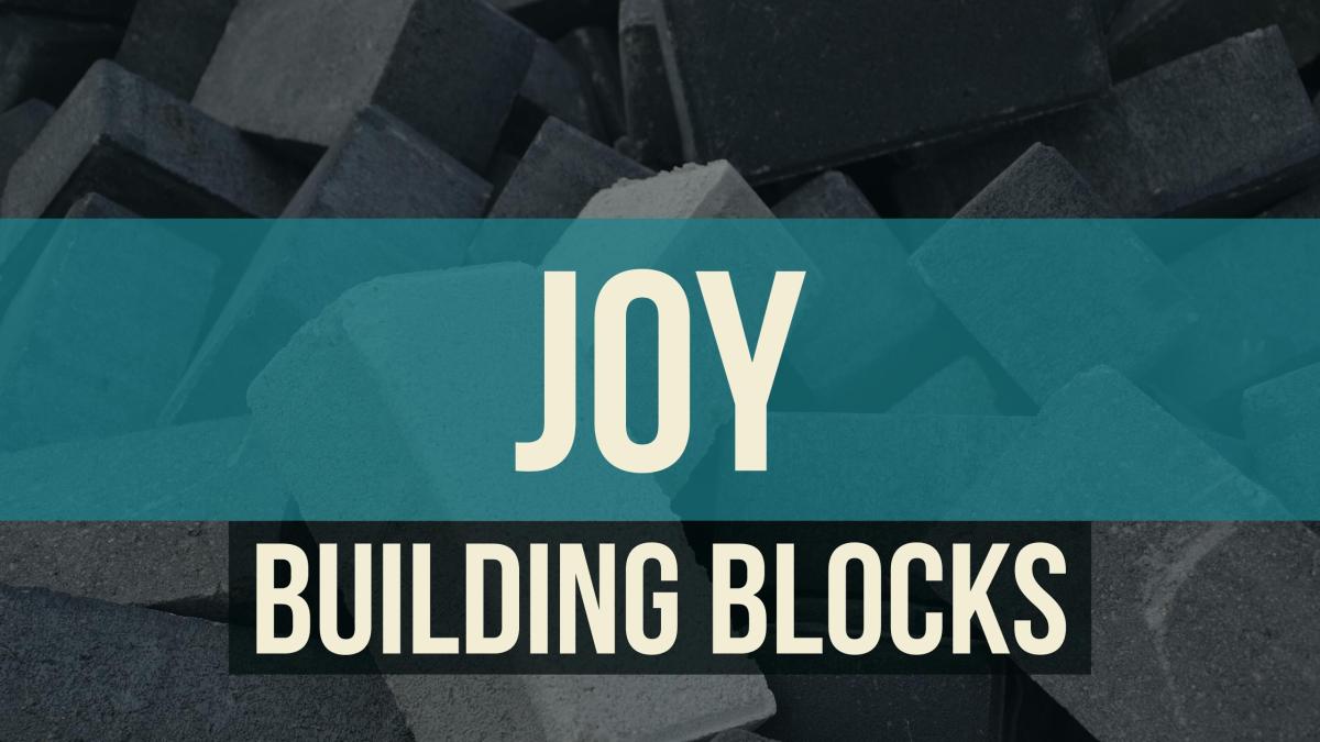 Building Blocks (Part 5) – Brent D. Armstrong